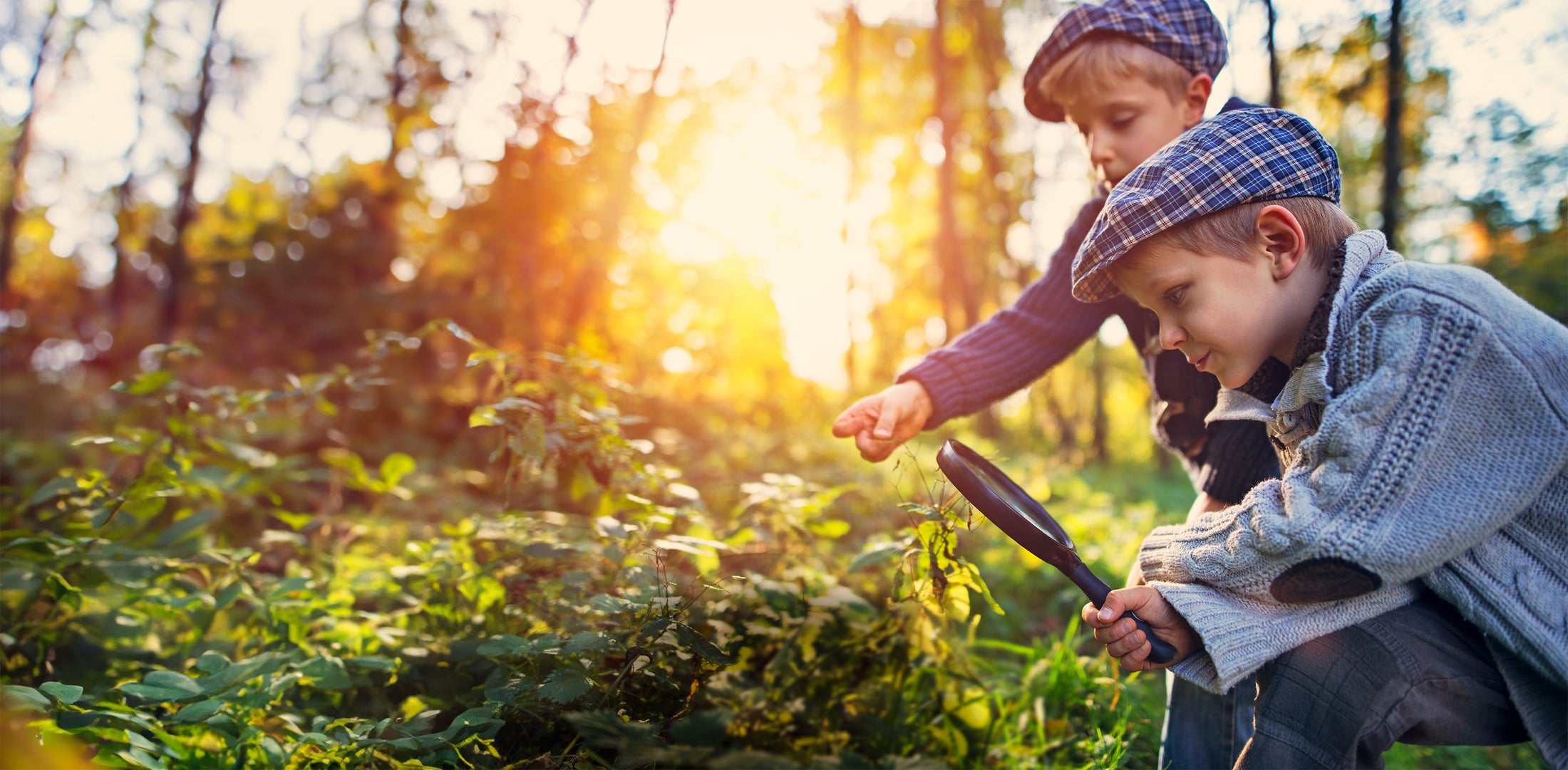 Unternehmen | Tiger Media – tiger.media